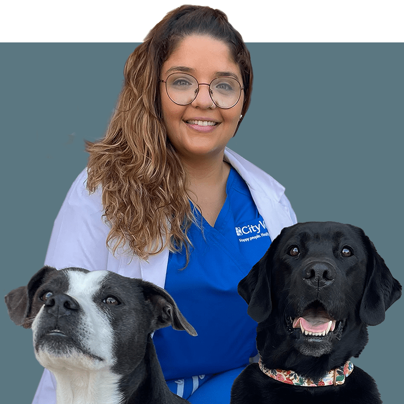 Mid-Cities & Ruffit - CityVet
